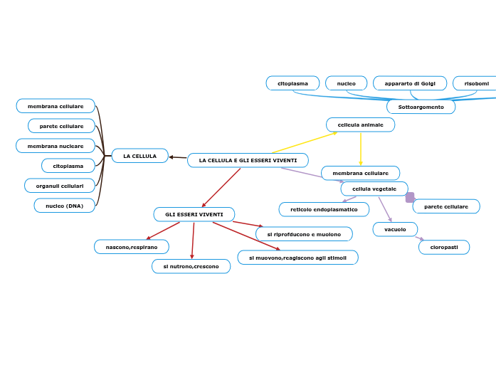 LA CELLULA E GLI ESSERI VIVENTI - Mind Map
